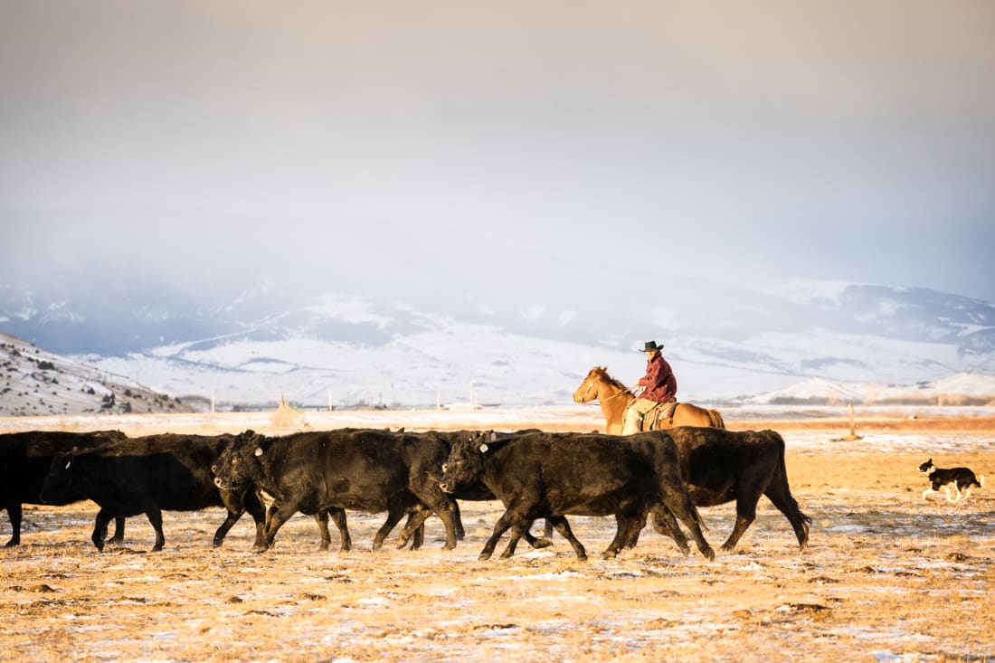 Conservation Issues Are Central to the Ongoing Farm Bill...