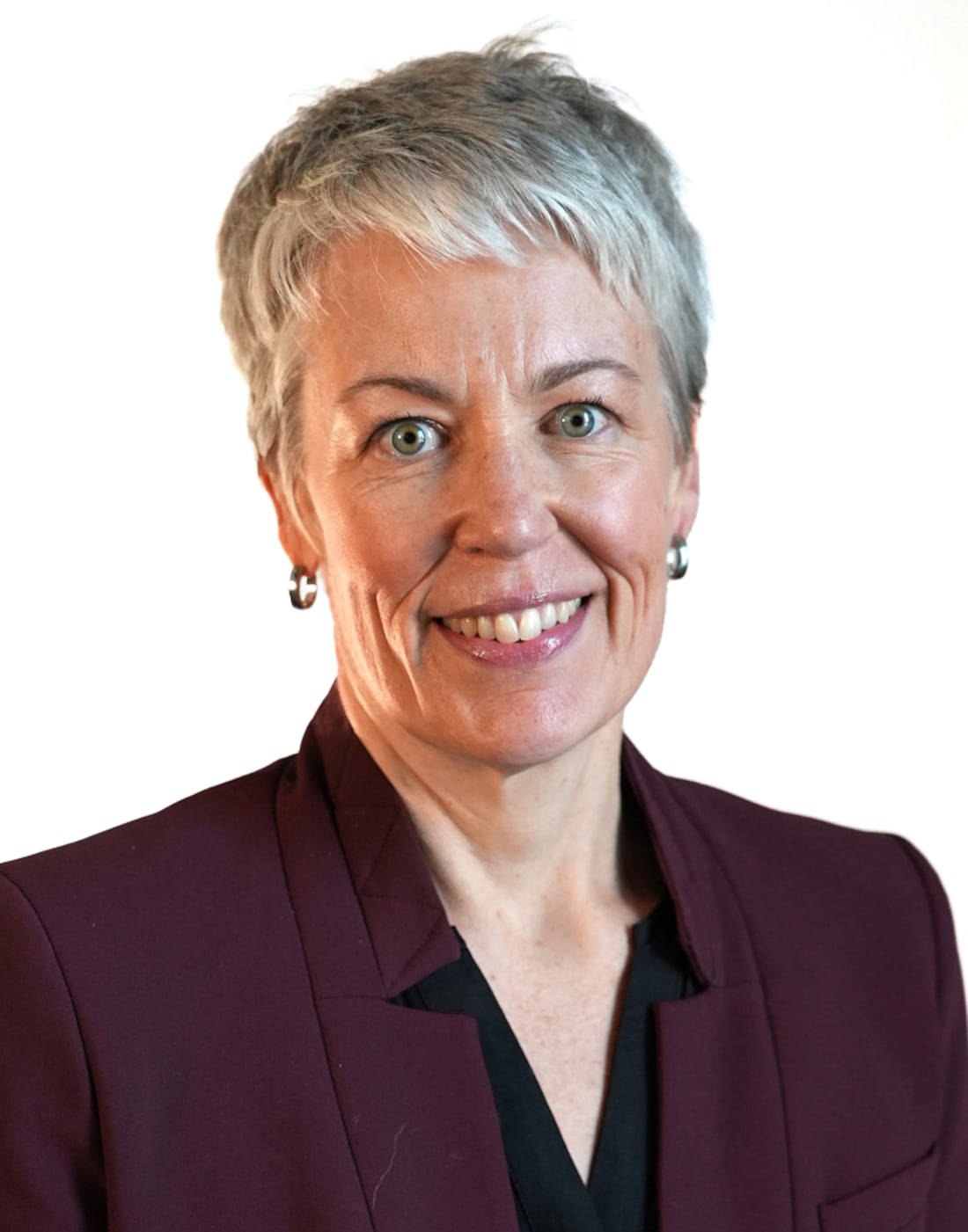 Center for Results-Driven Governing - National Conference of State ...