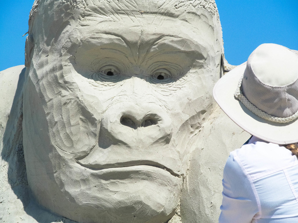 My District: Is Home to Texas SandFest - National...